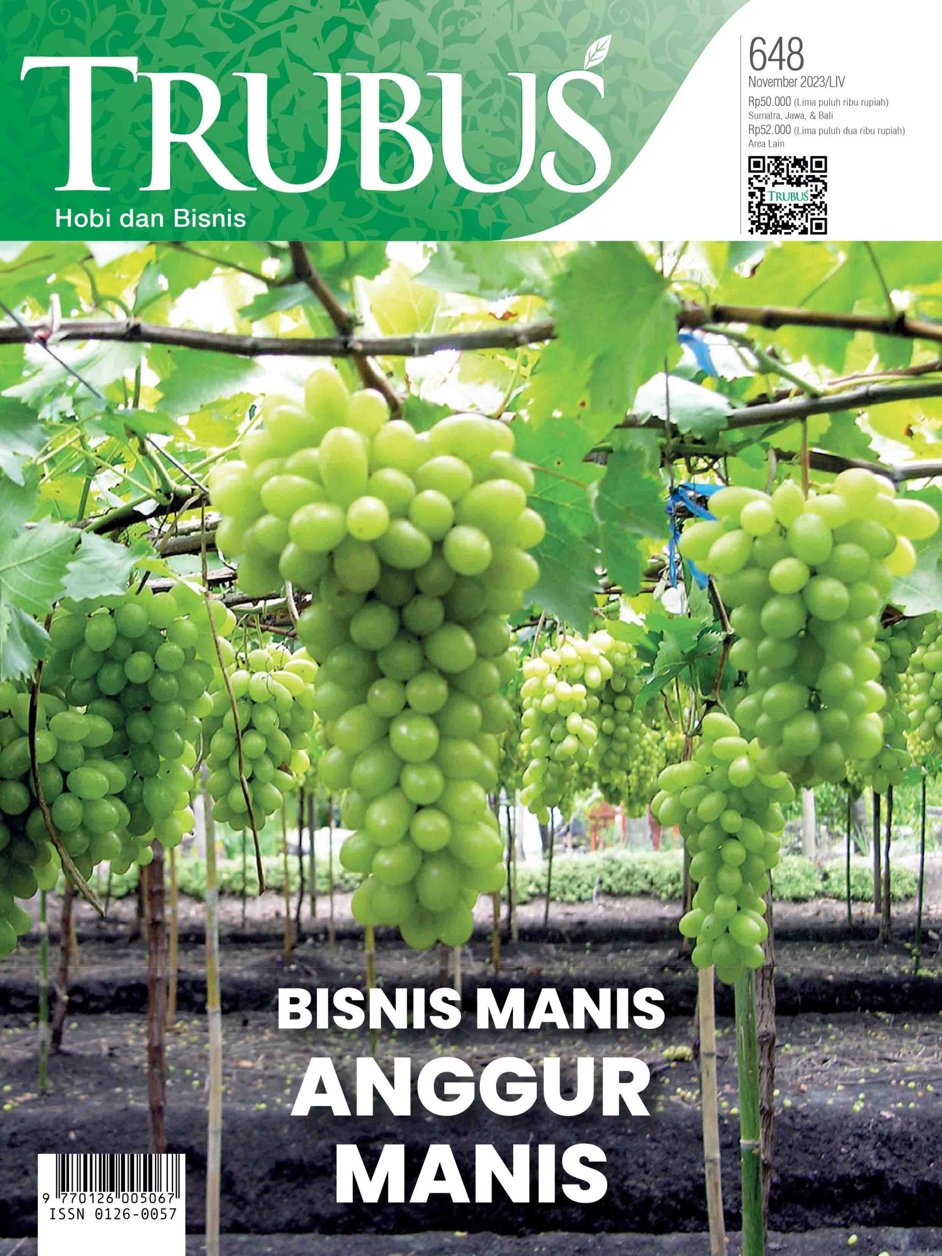 Bisnis Manis Anggur Manis | Majalah Trubus Digital