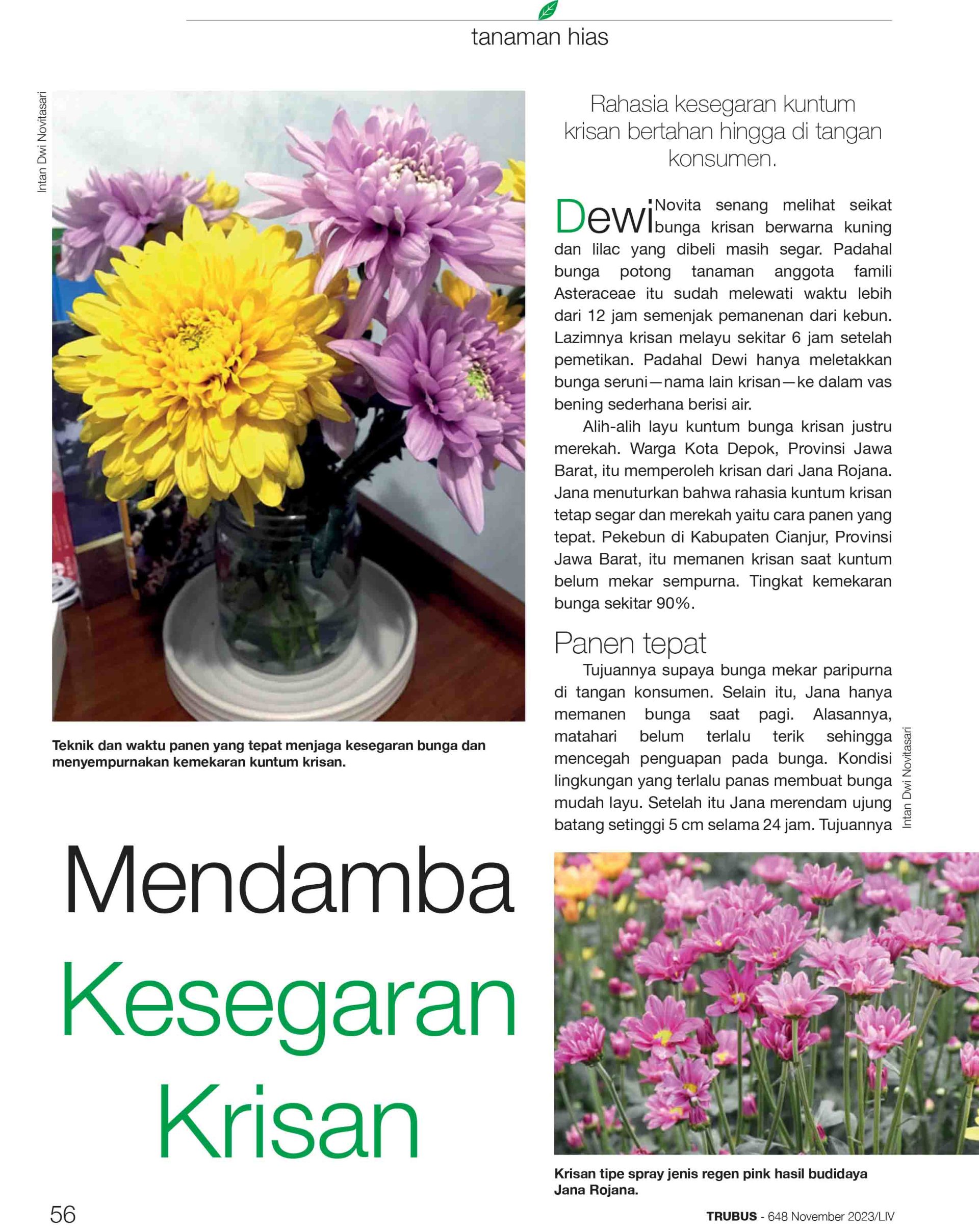 Bisnis Manis Anggur Manis | Majalah Trubus Digital