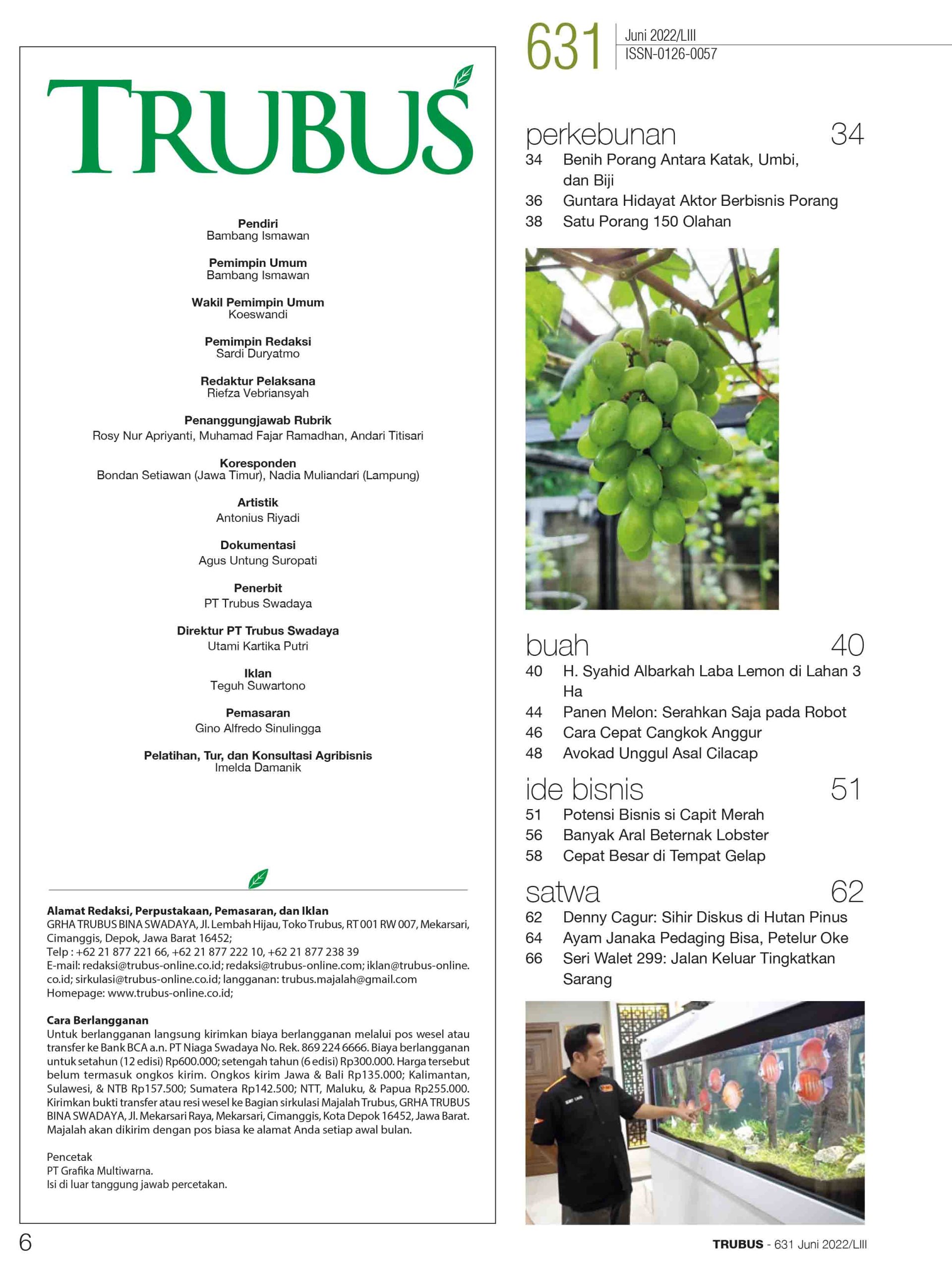 Tren dan Prospek Baru Kakao | Majalah Trubus Digital